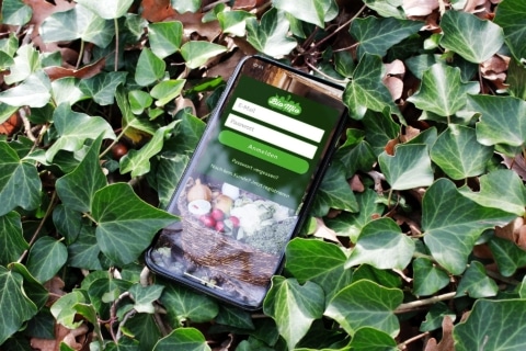 Bio Mio-App · Dein Bio Gemüse Abo smart verwalten